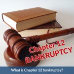 What is Chapter 12 bankruptcy?
